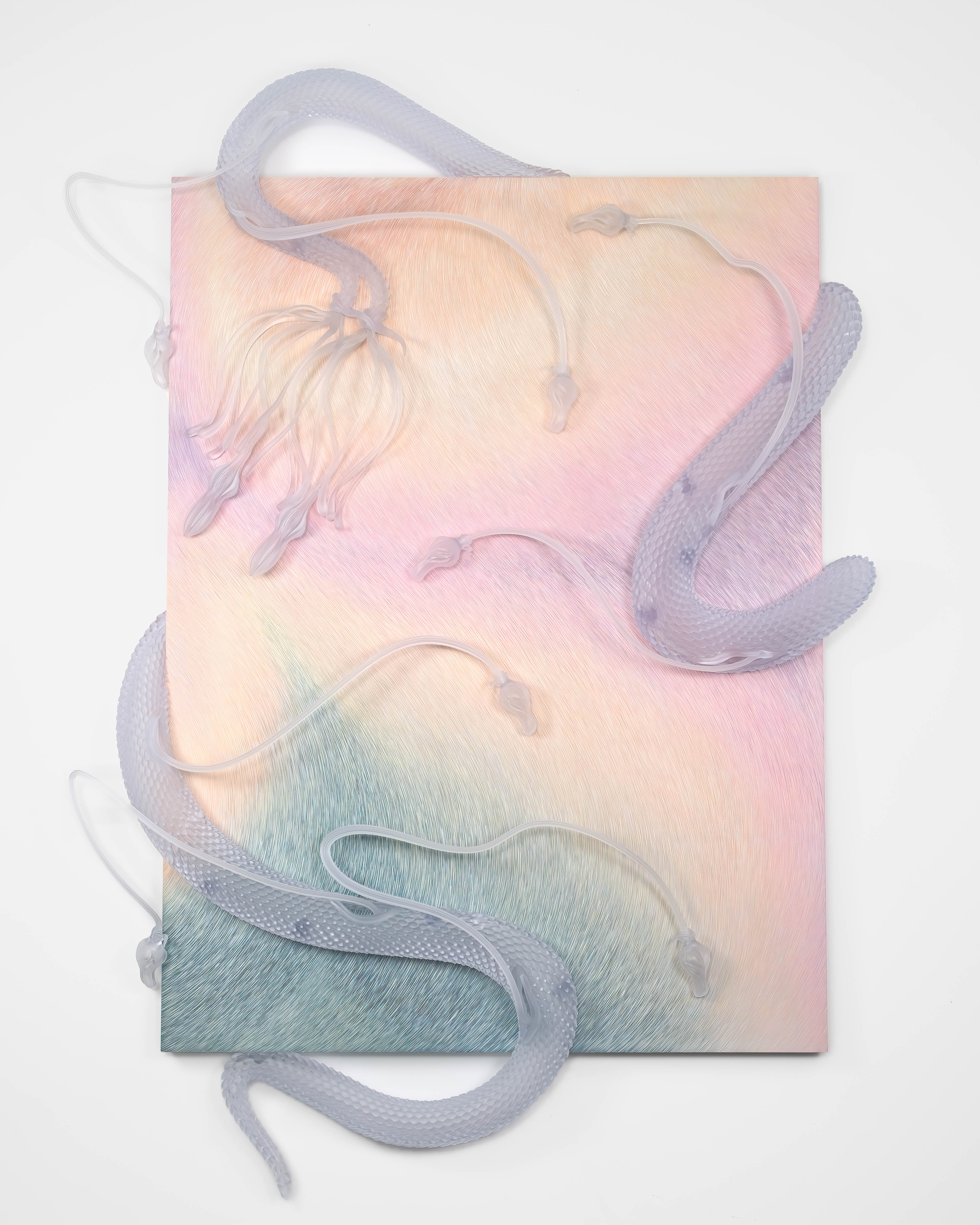 Anastasia Komar ‒ Management